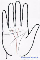 Palm Reading – Fate Line | Xiaoming's Goodwill Feng-Shui Advice